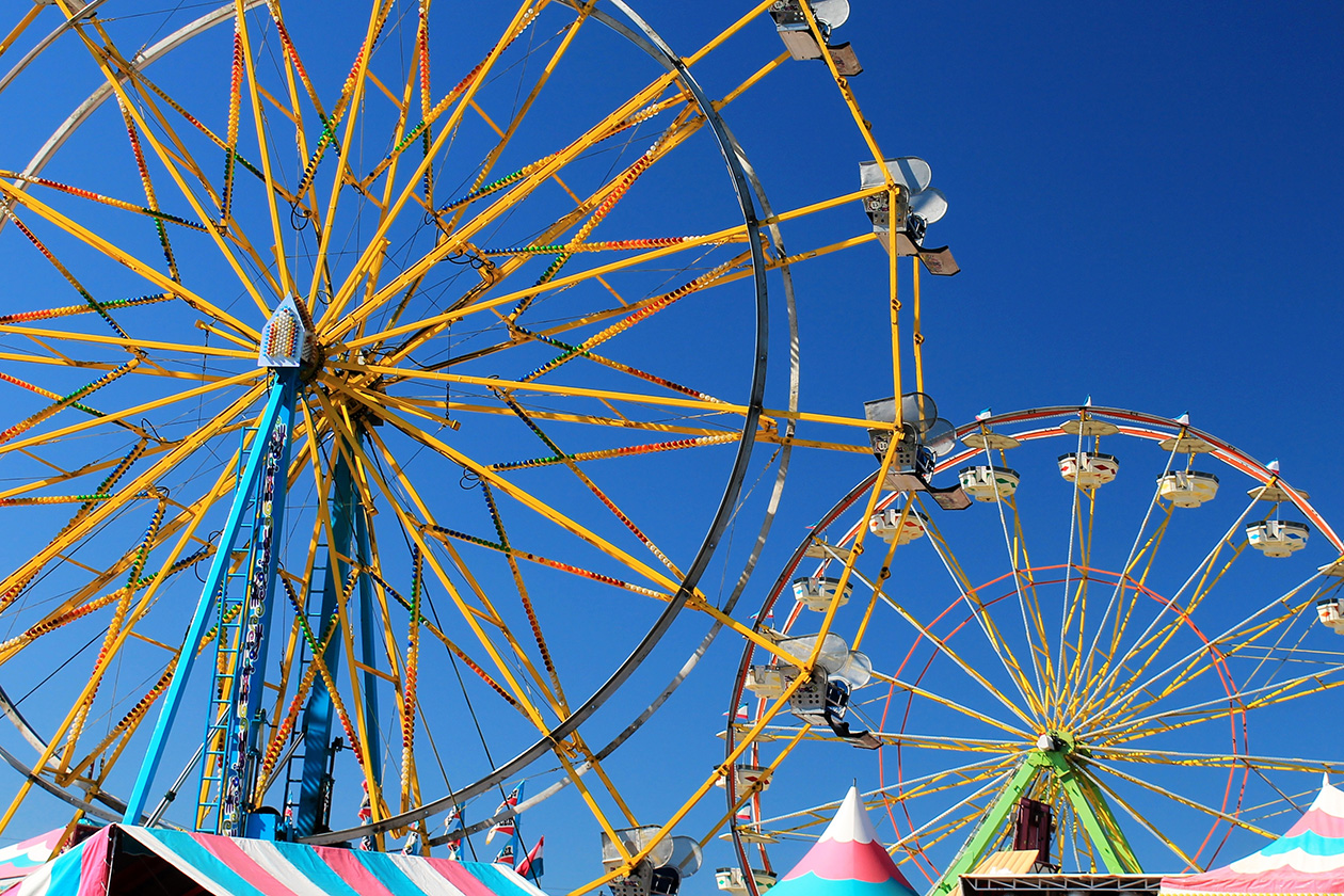 Counties Across West Tennessee to Hold Annual Fairs - Homeschool Roster