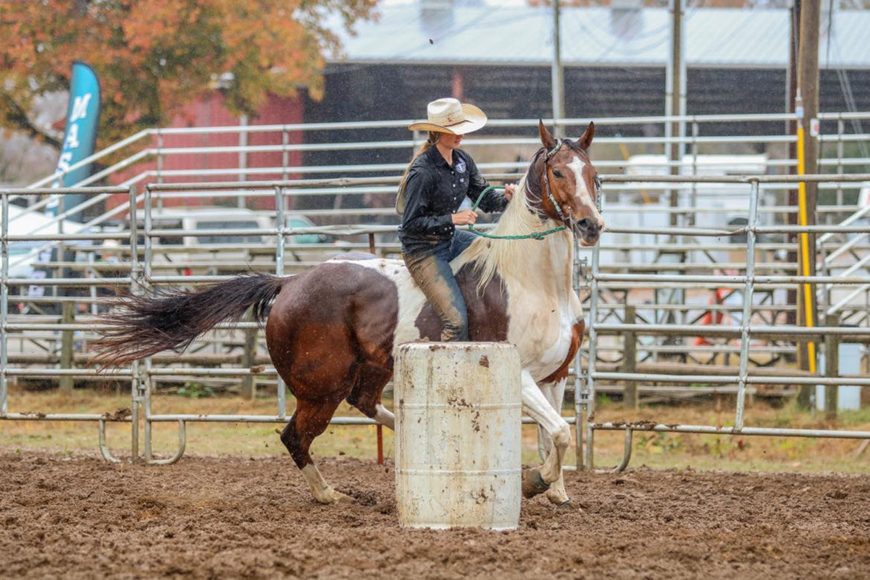Ariel Wiles: A Rodeo Girl and her Horses Ride for the Win - Homeschool ...