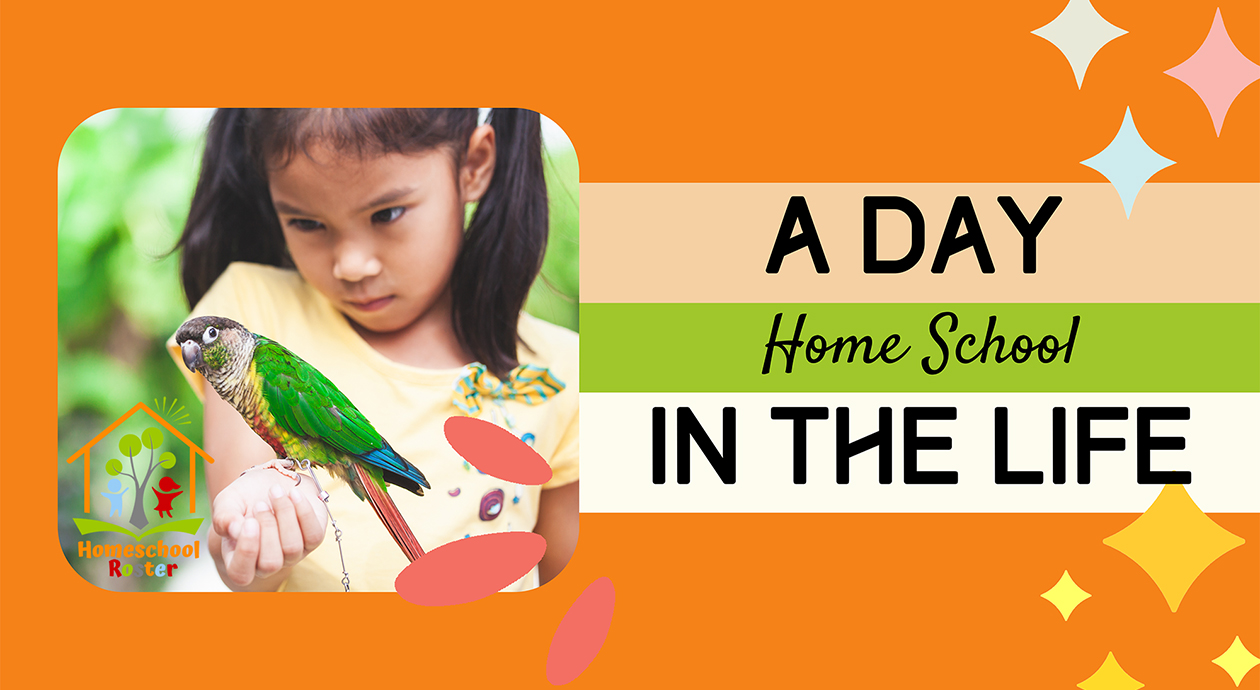 Share Your Story! Be Featured in “A Day in the Home School Life ...